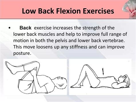 Low Back Flexion Exercise Benefits Low Back Pain Treatment