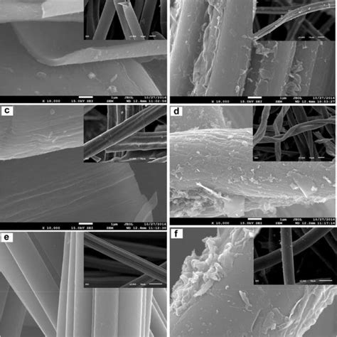 The Surface Morphology Of The Six Cellulose Based Acfs A Kapok B Download Scientific Diagram