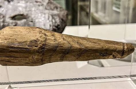 Древнейшая секс игрушка Артефакт длиной 16 см озадачил археологов Телеканал «Моя Планета