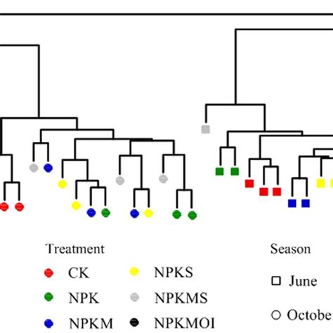 hierarchical cluster dendrogram of bacterial communities pairwise