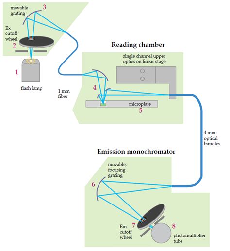 Matlab Based Algorithm For Real Time Analysis Of Multiexponential