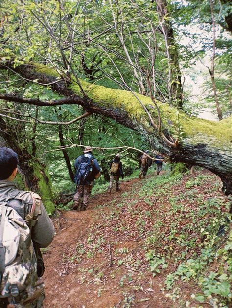 გენ გენ მაზნიაშვილის სახელობის ახალგაზრდული ლეგიონი