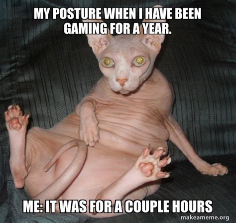 My Posture When I Have Been Gaming For A Year Me It Was For A Couple Hours Hairless Cat Meme