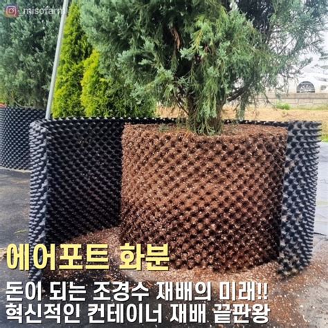 서산조경수농원 사계절 수익창출의 1등공신 식물 키우기에 최적화 된 화분 에어포트”를 소개합니다 네이버 블로그