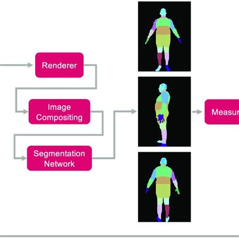 Measurenet Training Training Of Measurenet Model Using Realistic Download Scientific Diagram