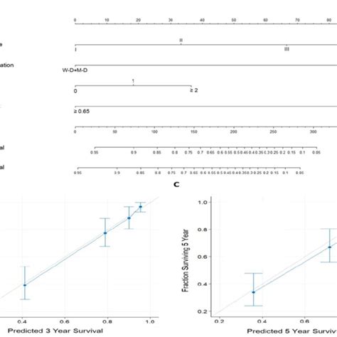 Prognostic Nomogram Established For Prediction Of 3 Year And 5 Year Os