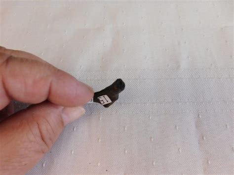 Turtle Scapula Fossil Fossils And Artifacts For Sale Paleo Enterprises