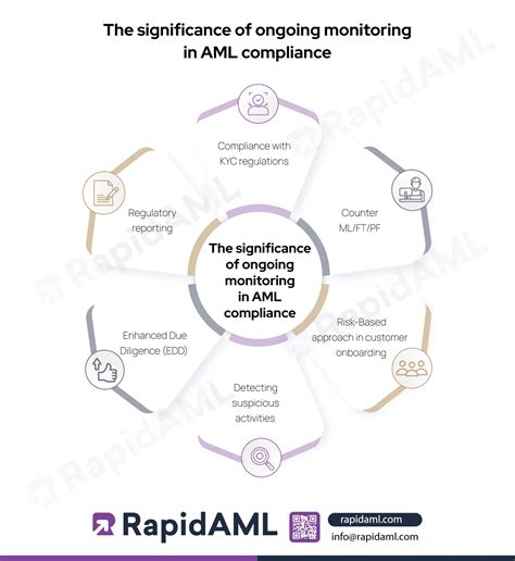 Infographics Rapidaml
