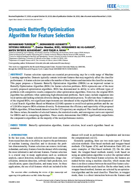 Dynamic Butterfly Optimization Algorithm For Feature Selection