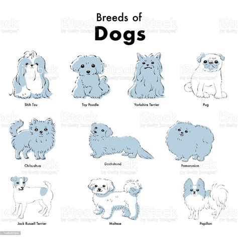 간단하고 귀여운 인기 개 품종 손으로 그린 선 그리기 벡터 일러스트 레이 션 세트 0명에 대한 스톡 벡터 아트 및 기타 이미지