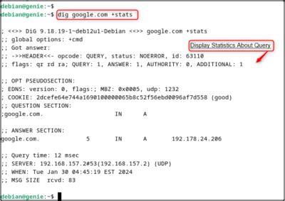 How To Install Dig On Debian Linux Genie