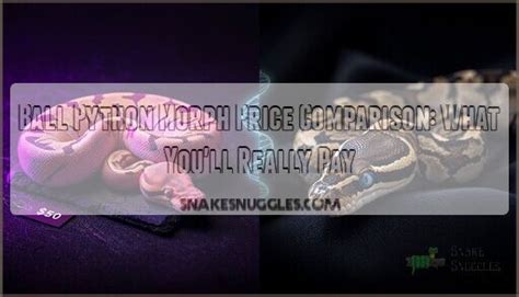 Ball Python Morph Price Comparison What Youll Really Pay