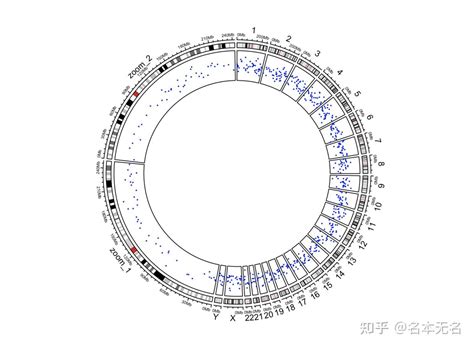 R 数据可视化 —— Circlize 基因组初始化 知乎