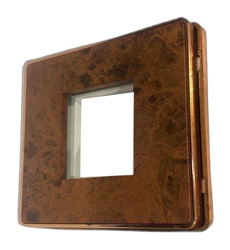 Modular Switch Plates Finish Type Glossy Module Size Module At Rs Piece In Mumbai