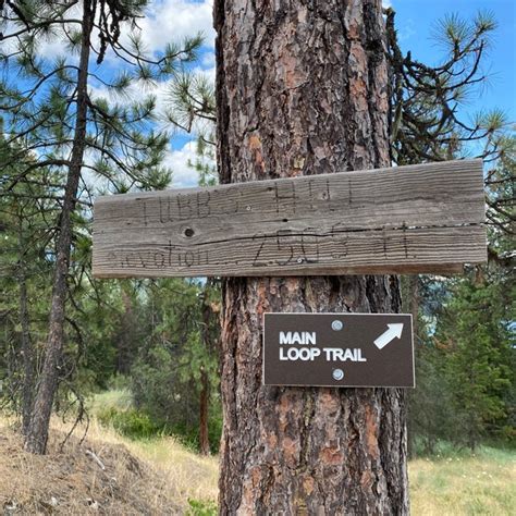 Tubbs Hill Hiking Trail In Coeur Dalene
