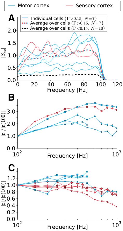 Neurons Can Track The Stimulus Up To Very High Frequencies A Absolute