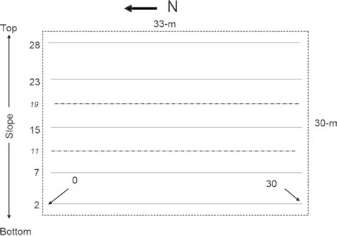 Schematic Representation Of A Subplot Setup With Vegetation Monitoring