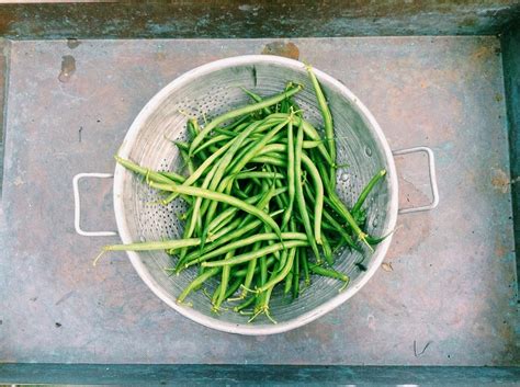 Green Beans Health Benefits 7 Reasons To Load Up On These