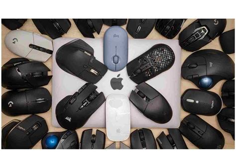 Best Mouse Brands In 2025