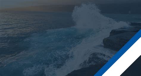 Centipede Identification And Prevention A Guide To Centipedes