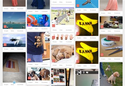 Pinterest 99 Clone Scripts