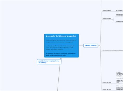 Desarrollo Del Sistema Urogenitalel Sistem Mind Map
