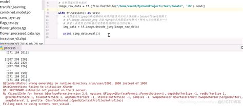 Unicodedecodeerror ‘utf 8‘ Codec Can‘t Decode Byte 0xff In Position 0