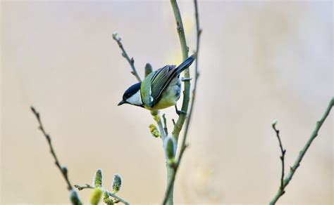 На Полтавщині прогнозують потепління Решетилівщина Ua