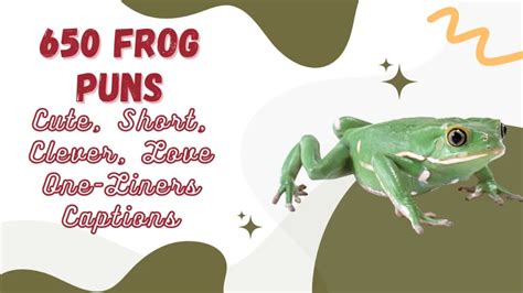 650 Frog Puns Cute Short Clever Love One Liners Captions For Adults