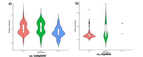 Violin Plots Indicating The Significant Haplotypes Of Candidate Genes