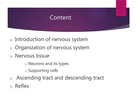 Nervous System Ppt Pptx