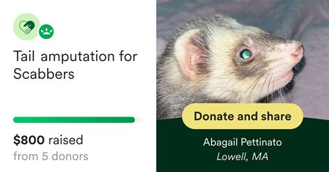 Fundraiser By Abagail Pettinato Tail Amputation For Scabbers