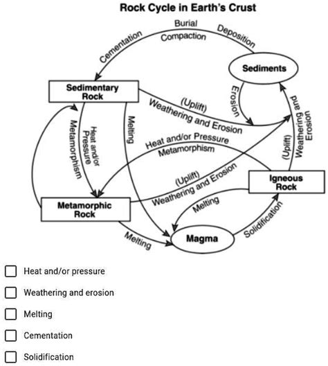 Solved Identify One Process That Causes The Metamorphism Of An