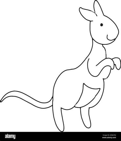 Clipart De Kangourou