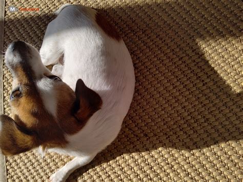 Camera Algorithms — Mm Solutions