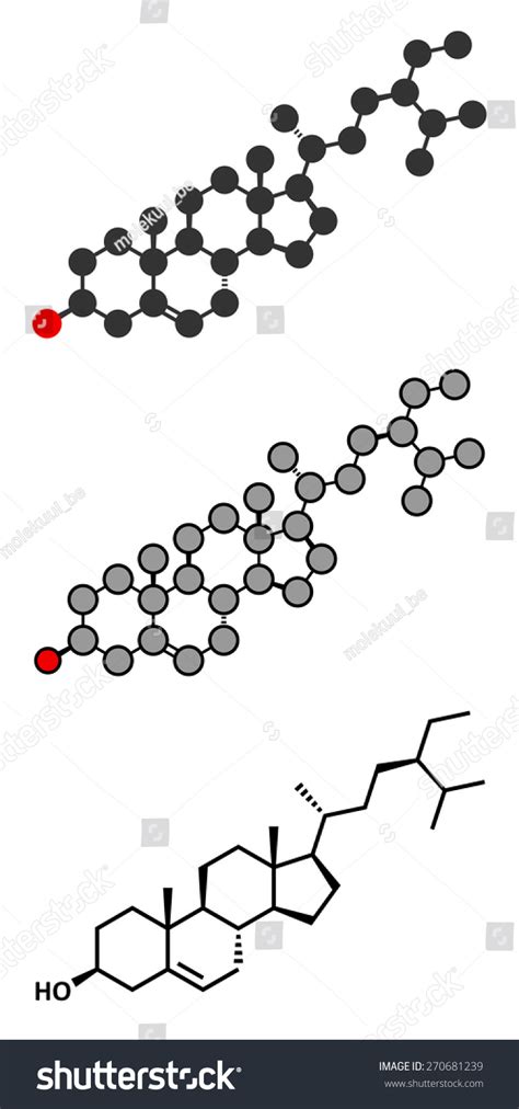 Betasitosterol Phytosterol Molecule Investigated Treatment Benign Stock