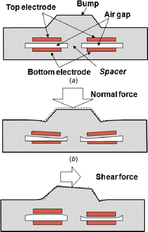 Operation Principle Of The Three Axis Tactile Sensor A Download Scientific Diagram Operation Principle Of The Three Axis Tactile Sensor A Download Scientific Diagram
