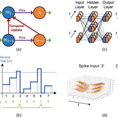 Introduction Of Snns A Neuron Modeling B Computing Model Of A