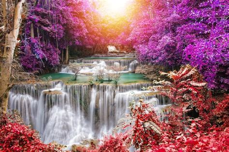 Premium Photo Streams Waterfalls Flowing Water Autumn Scenery