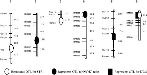 Figure 2 From Inheritance And Qtl Mapping Of Salt Tolerance In Rice Semantic Scholar