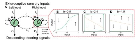 Figure 1 From Synaptic Plasticity In A Recurrent Neural Network For Versatile And Adaptive