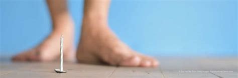 Fact Sheet Tetanus What You Need To Know Immunize Colorado