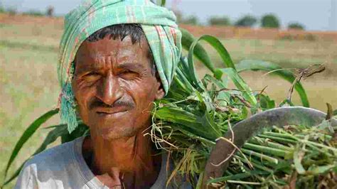 Caste Social Groups Ranked Hierarchically By Birth Marriage Or