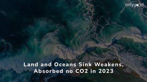 Carbon Absorption By Land And Oceans Diminishes Resulting In No Co2 Sequestration In 2023