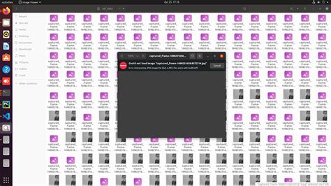 Segmentation Fault When Extracting Jpeg Image At Probe Deepstream Sdk