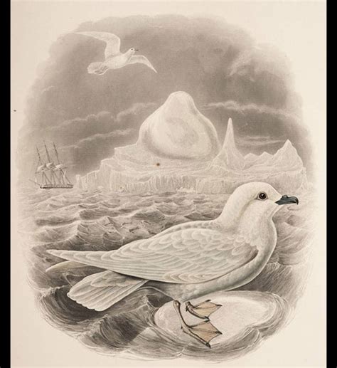 John Cassin Linda Hall Library