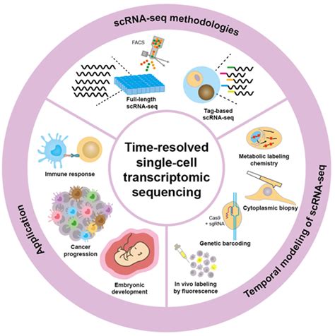 2024 Yangs Lab