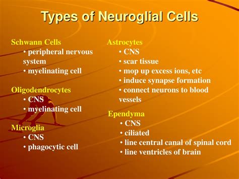 Ppt Chapter 10 Powerpoint Presentation Free Download Id 1281381