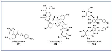 Efforts In Bioprospecting Research A Survey Of Novel Anticancer