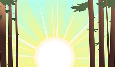 소나무 줄기 여름 일출과 광선 전나무와 침엽수 림 아름다운 자연 풍경 식물보기 만화 재미있는 스타일 플랫 디자인 벡터 가문비나무에 대한 스톡 벡터 아트 및 기타 이미지